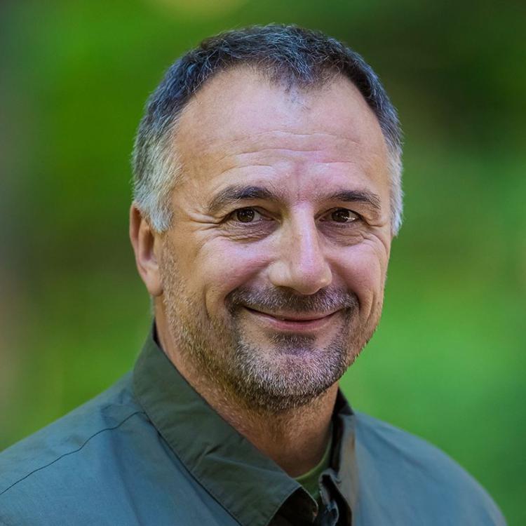 MEDVE Lap - Medvék, mackók - Farkas Nóra weblapja